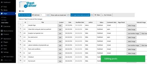 Wp Sheet Editor Premium V2203 Wordpress Plugin Nulled