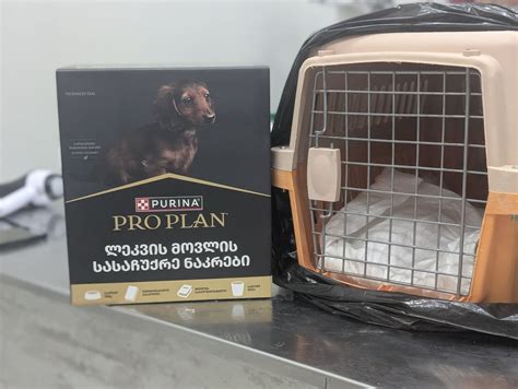 ცხოველთა გადარჩენის ცხოველთა გადარჩენის სახალხო ფრონტი