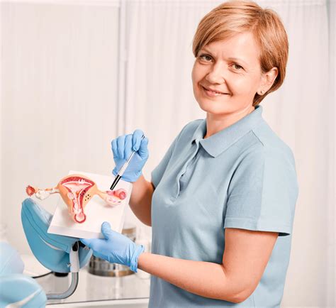 Unlocking The Mysteries Of Uterine Artery Anatomy The Power Of 3d Ct