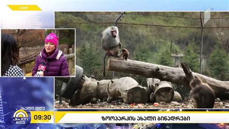 ზოოპარკის ახალი ბინადრები 1tv