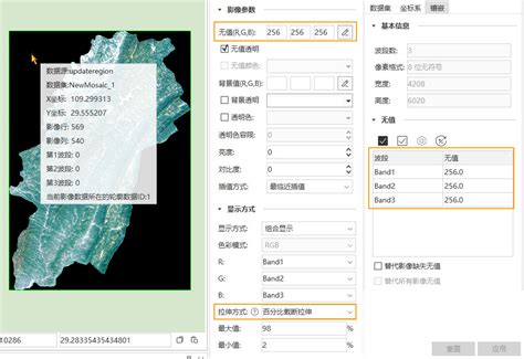 镶嵌数据集无值FAQ