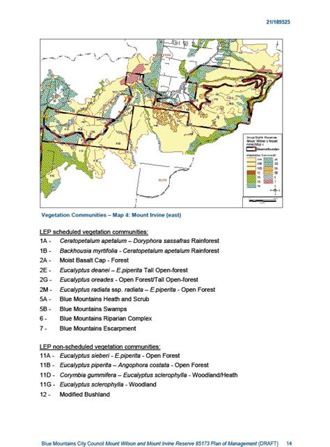 Sassafras Rainforest Conservancy Sassafras Rainforest Conservancy