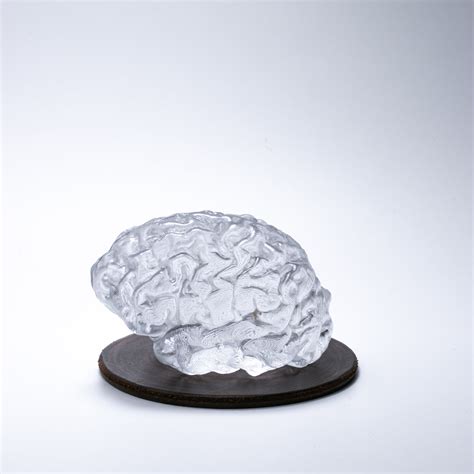 Glass Brain Sculpture Elevate Your Space With A Glass Brain Sculpture Unique Art Decor