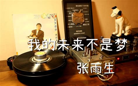 国语经典 张雨生《我的未来不是梦》黑胶试听 绝代双胶 绝代双胶 哔哩哔哩视频