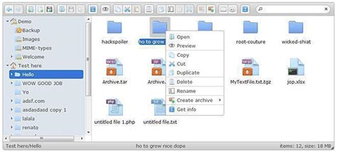 Elfinder Webbasierter File Manager › Hackspoilerde