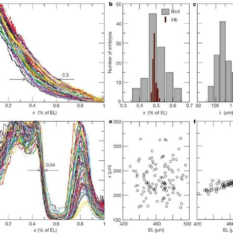 Positional Information Of Bcd And Hb Gradients A Bcd Gradient In Download Scientific Diagram