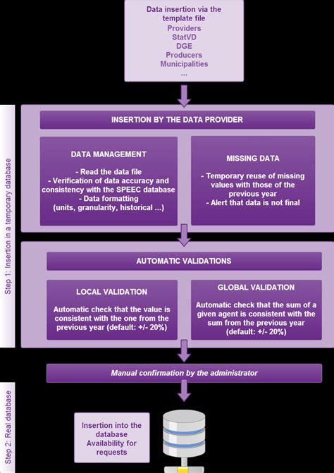 Two Step Process For The Data Management Tool Download Scientific Diagram
