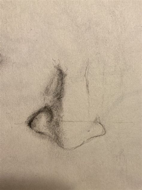 How To Draw A Nose From Multiple Angles Easy Steps