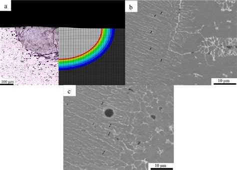 A Comparison Of Experimental And Fe Simulated Melt Pool Shape For A Download Scientific Diagram