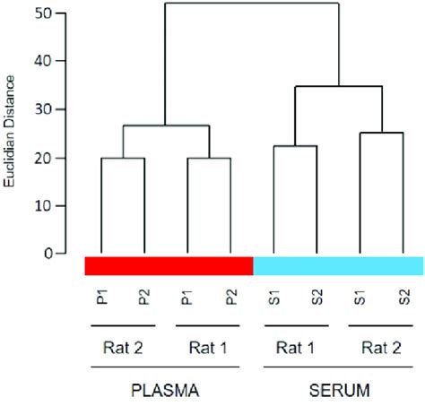 Dendrogram Of Rat Sample Clustering Dissimilarity Was Calculated Using