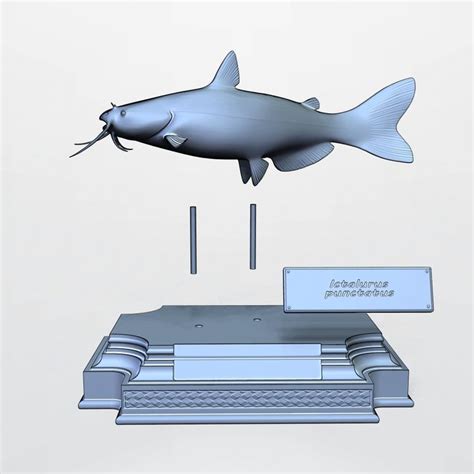 3d Printable Ictalurus Punctatus By Alex