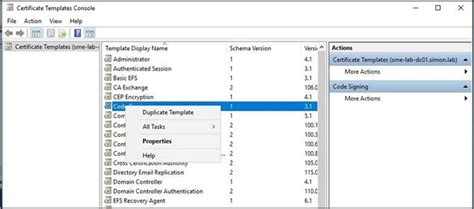 Create Windows Ca Code Signing Certificates For Wsus