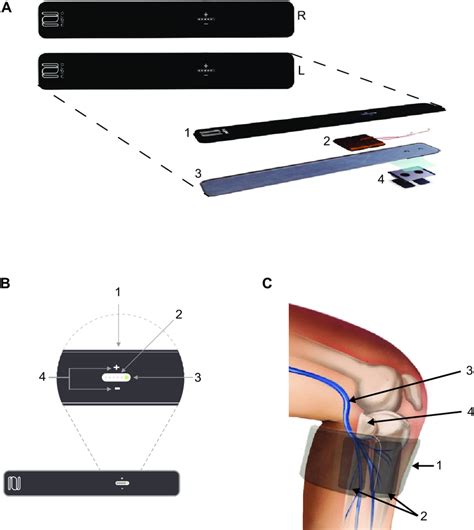 Investigational Tomac System A The Investigational Tomac System