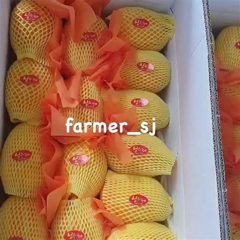 성주농부의미소성주참외👩🏻‍🌾🧑🏻‍🌾 안녕하세요 🙂 성주 농부의 미소 참외는 참외의 본 고장 성주에서 30년 재배 경력을 자랑하고 있으며 산지 직송 판매를 하고