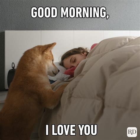 30 Good Morning Memes For A Good Laugh Funny Good Morning Memes Xaky