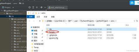 python selenium自动化调用起google python使用selenium调用谷歌 CSDN博客