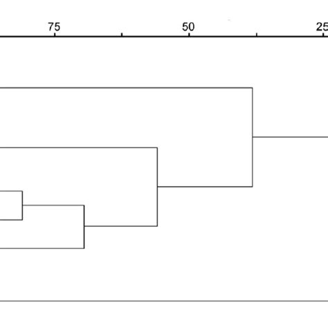 Hierarchical Cluster Analysis Based On Genetic Similarity Included Are Download Scientific