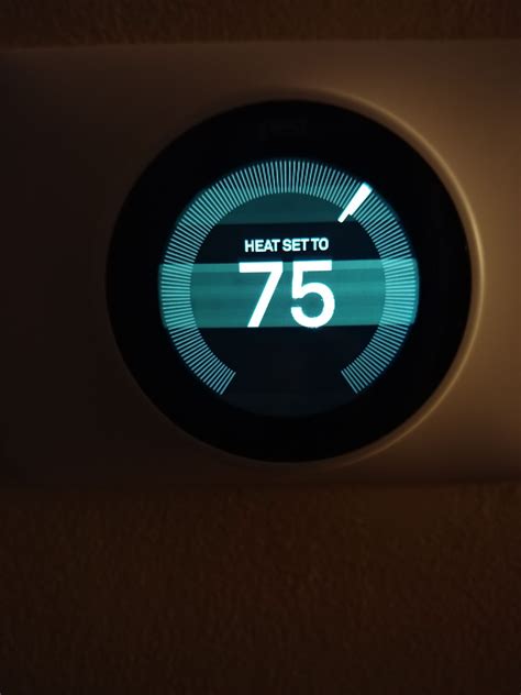 Nest Screen Issue Nest