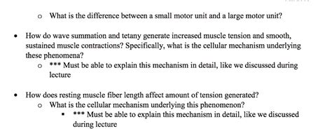 what is the difference between a small motor unit and a large motor