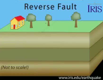 Reverse Fault