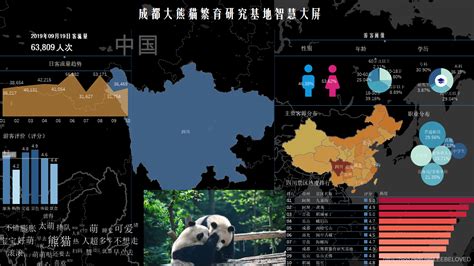 Tableau之数据可视化大屏智慧大屏（成都大熊猫繁育研究基地，模拟旅游相关数据）灵魂走风的江湖tableau可视化大屏 Csdn博客
