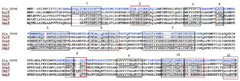 Identification Of Four Major Reactive Epitopes Indicated In Blue