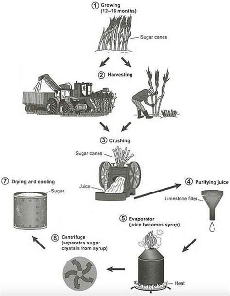 Cane Sugar Manufacturing Process Flow Diagram Sugar Cane Pro