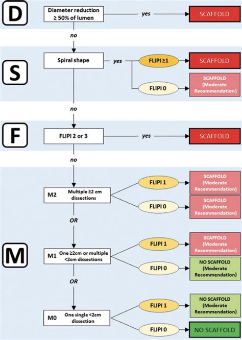 Post Pta Dissection In The Sfa The Disform Classification Endovascular Today