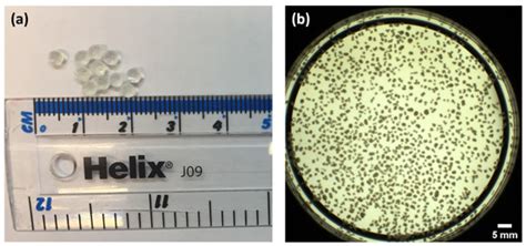 Chemengineering Special Issue Optimization Of Operations And Processes In Chemical