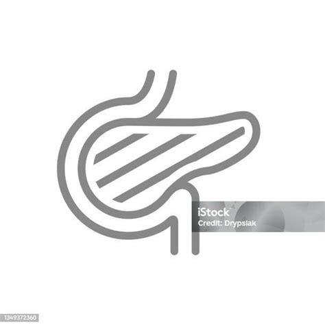 아픈 인간의 췌장 라인 아이콘 급성 췌장염 당뇨병 췌장암 기호 건강 진단에 대한 스톡 벡터 아트 및 기타 이미지 건강 진단 건강관리와 의술 건강한 생활방식 Istock