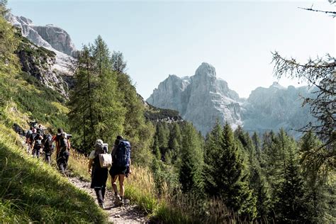 Feral Fermented Botanical Drinks From The Italian Dolomites