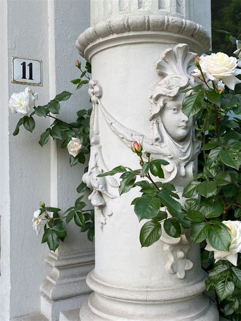 11 번 건물 외관 건축 구조 기둥 꽃 꽃무늬 도시 장식 도시의 돌 조각 등산 식물 매우 복잡한 무성한 단풍 상세한 조각품 석조 예술 수직 쐈어