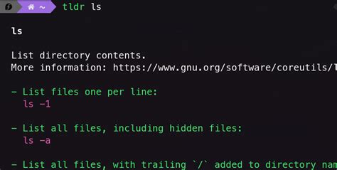 Final Thoughts Discover New Commands And Inspiration For More Your Coding Buddy