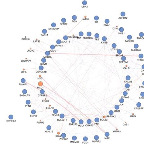 Venn Diagram Of The Overlapped Target Genes Between Mirtarbase And