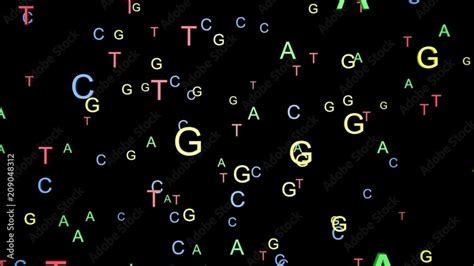 Atcg Four Basic Nucleotides In Dna Slow Random Movement 3d Animation Black And White Alpha Matte