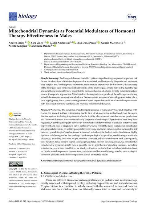 Pdf Mitochondrial Dynamics As Potential Modulators Of Hormonal Therapy Effectiveness In Males