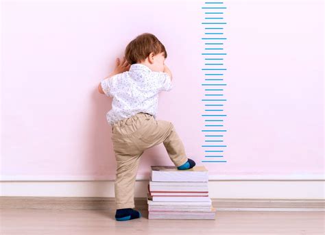 Choosing The Right Sperm Donor Profiles And Health Screenings