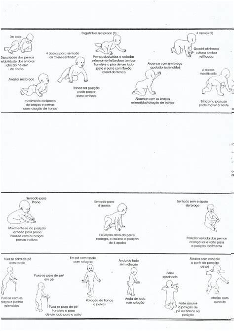Alberta Infant Motor Scale Record Booklet