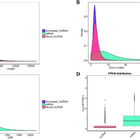 Genomic Characteristic Of Lncrnas And Mrnas A Length Distribution Of