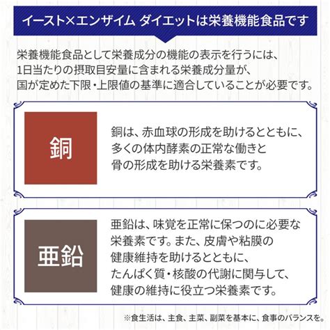メタボリック サプリメント 酵素 × 酵母 イースト エンザイム ダイエット 132粒 66回分 お徳用 栄養機能食品 代謝 サプリ 健康