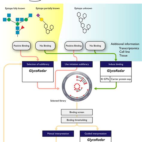 Illustration Of The Experimental Output From Screening With The Download Scientific Diagram