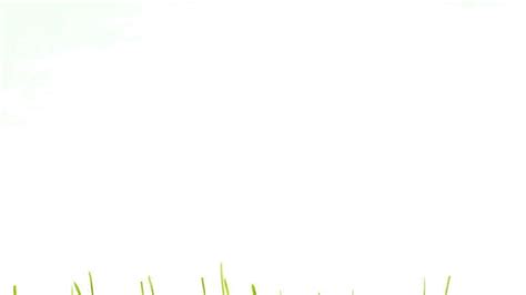 Grass Animated Stock Video Footage For Free Download