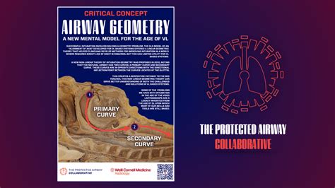 The Two Curve Theory The Protected Airway Collaborative