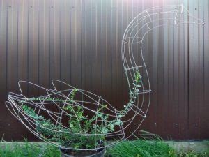 Виды топиарных фигур и принципы их создания своими руками