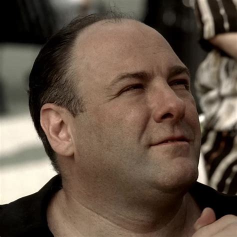 Every Day Is A T The Sopranos Tribute Tiktok