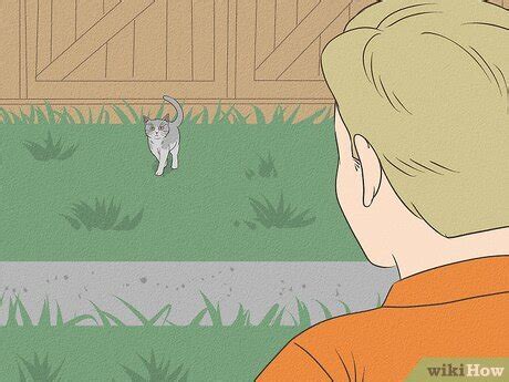 How To Teach A Cat To Recognize Its Name 9 Steps With Pictures