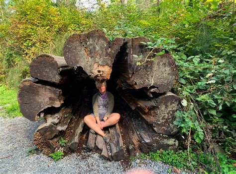 New Clues Help The Quest For Answers About Melissa Mcdevitts