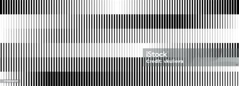 검은색 선 하프톤 그라디언트 스트립 페이드 스트라이프 그라데이션 배경입니다 반복되는 선형 패턴 배경 오버레이 인쇄 표지를 위한 평행선 벽지 벡터 도플러 효과 개념 0명에