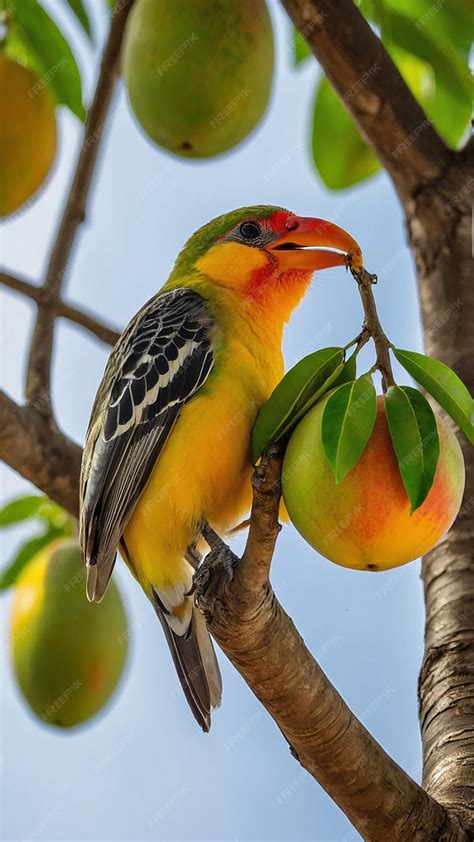 Premium Photo Bird Is Eating Ripe Mangoes Ai Created